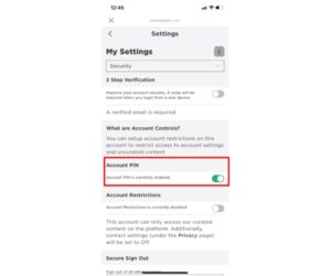 How to set up Roblox parental controls?