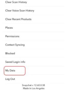 Snapchat messages disappear: Delete chats after viewing