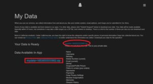 Snapchat messages disappear: Delete chats after viewing