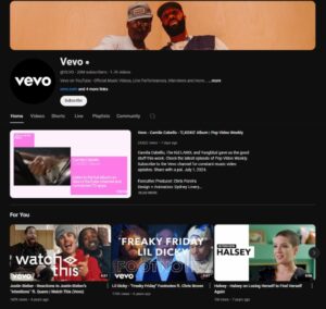 Exploring adult content on YouTube: Are there adults-only videos