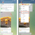 7 Telegram video downloaders for safe access (tested & reliable)