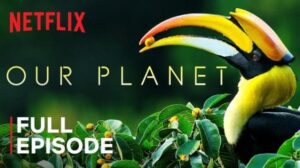 Os 10 melhores documentários gratuitos no YouTube: escolhas para toda a ...