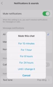 Facebook Messenger notification: Common questions answered