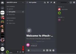 Pesquisa de ID do Discord: como encontrar, usar e gerenciar seu id de ...