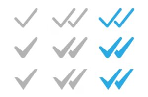 What do check marks mean on WhatsApp