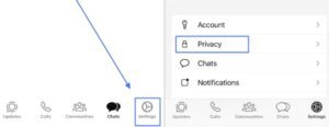 What does one check mark on WhatsApp mean: A complete guide