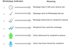 What does one check mark on WhatsApp mean: A complete guide