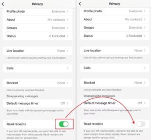 What does one check mark on WhatsApp mean: A complete guide