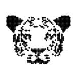 Tiger Algebra: A complete guide for students and parents