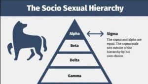 O que significa Sigma: o significado da gíria, usos e seu impacto